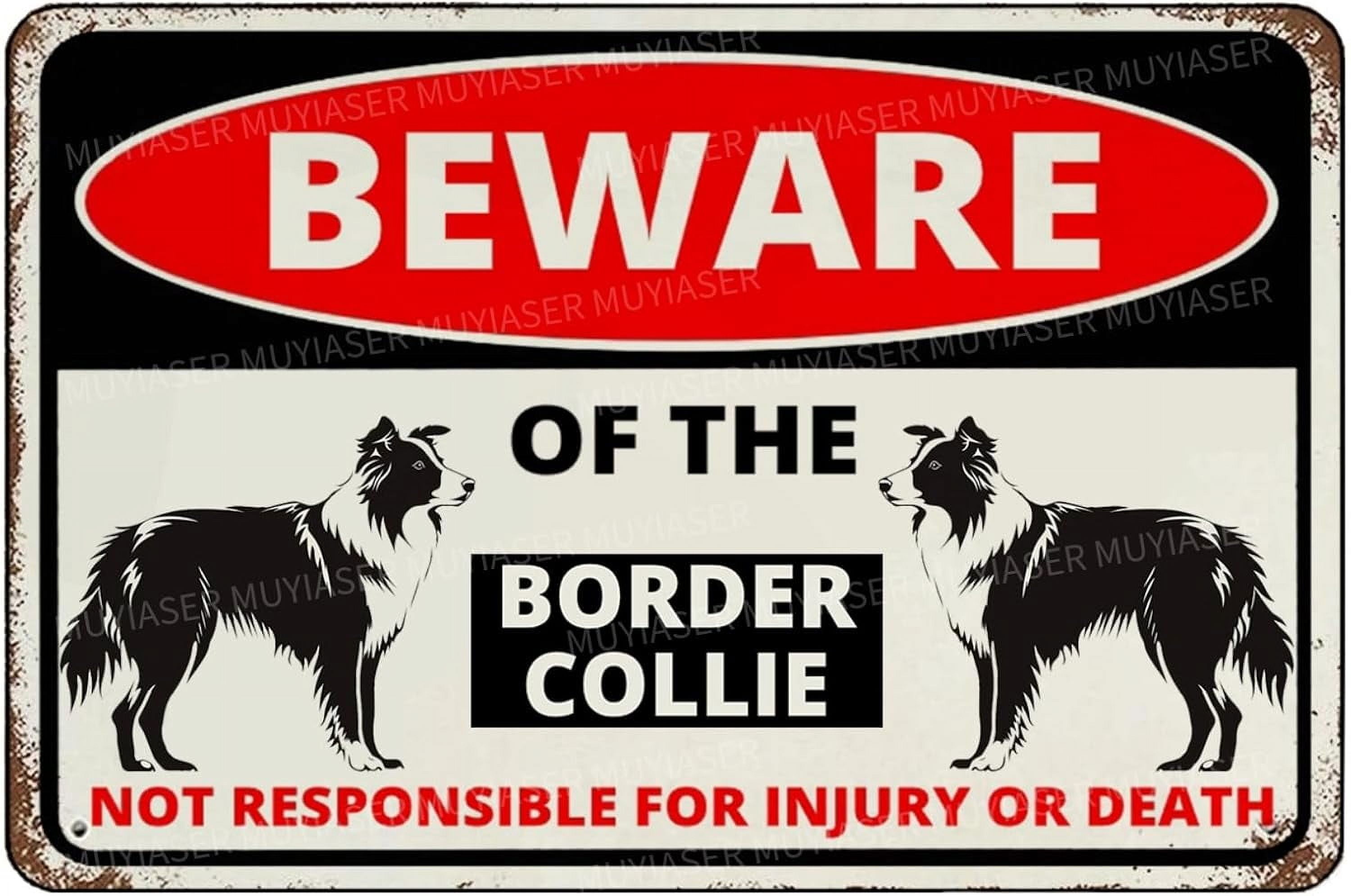 Beware Of The Dog Border Collie Sign Metal Tin Signs Outdoor Yard Sign ...