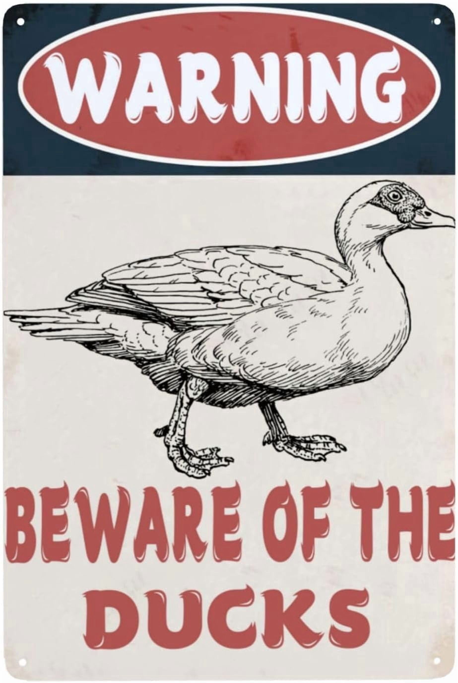 Beware Of The Ducks Metal Tin Sign Warning Sign Safety Signs For Home ...