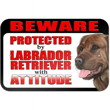 Beware Protected by Husky with Attitude Sign - Walmart.com