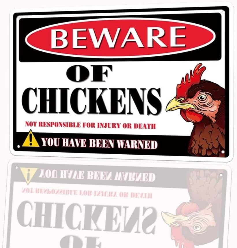Beware of Chickens Sign Metal Tin Sign 8x12inch - Walmart.com