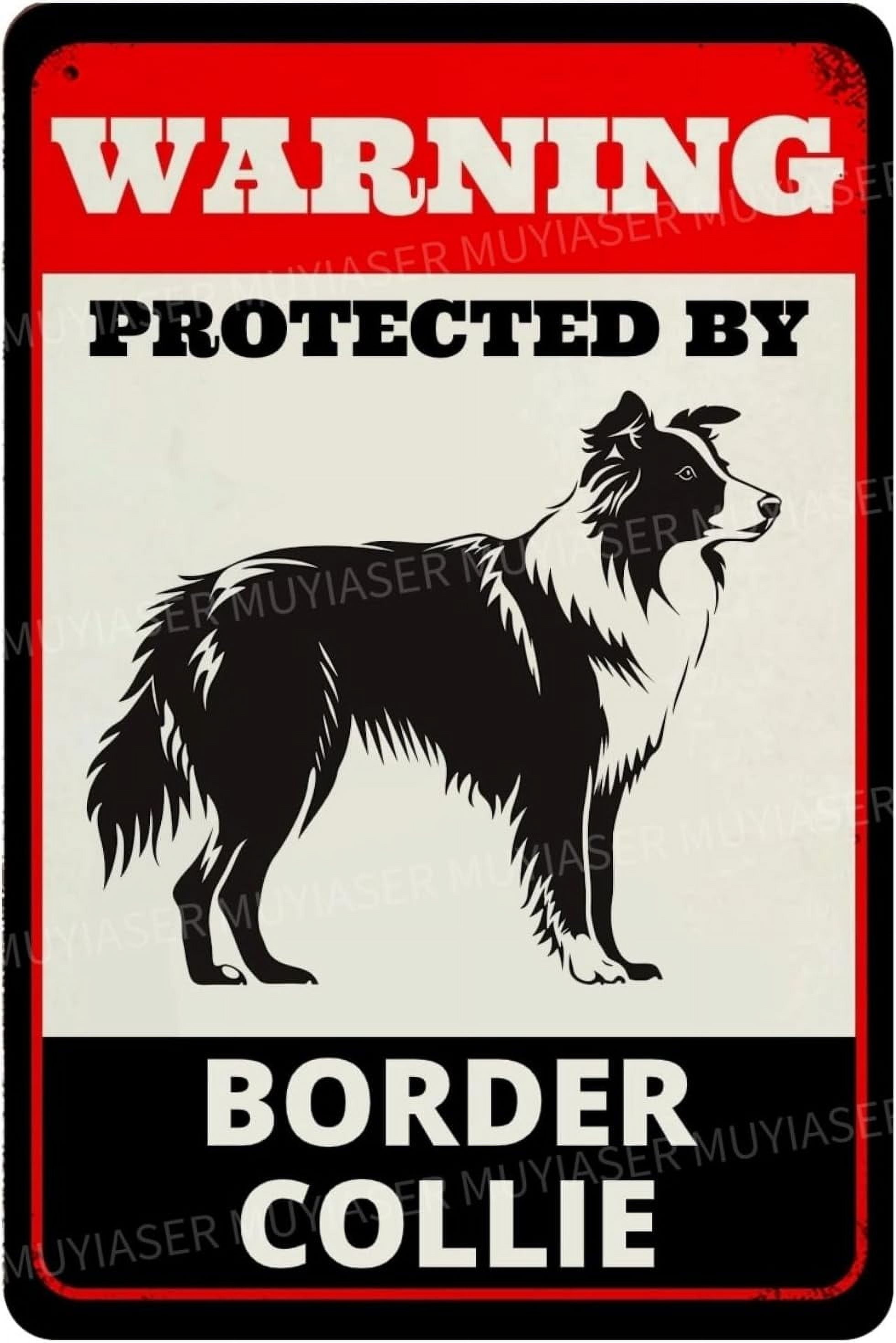 Beware of Dog Sign For Fence Warning Protected By Border Collie Metal ...