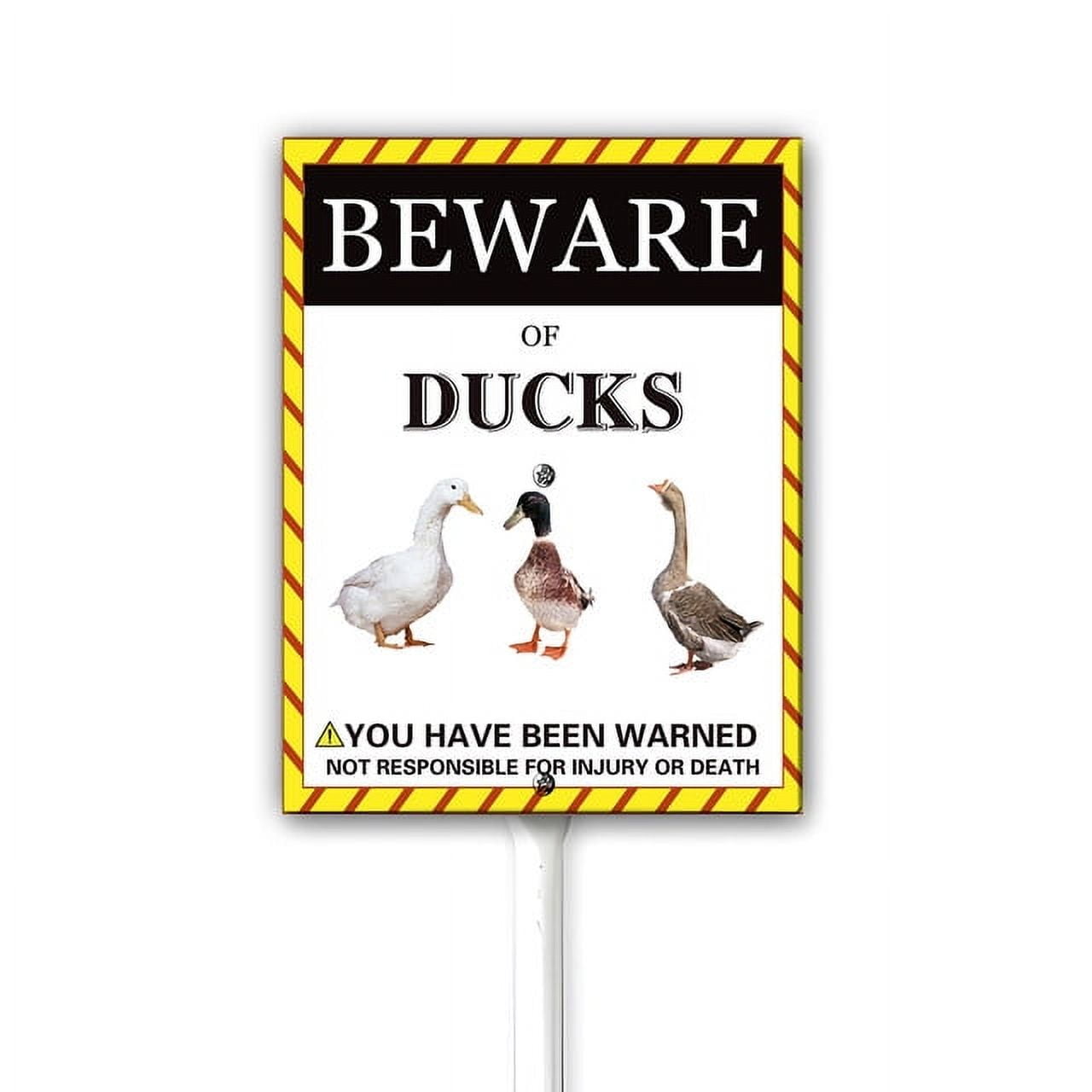 Beware of Duck Animals Warning Sign for Garden Lawn Decor Funny Yard ...