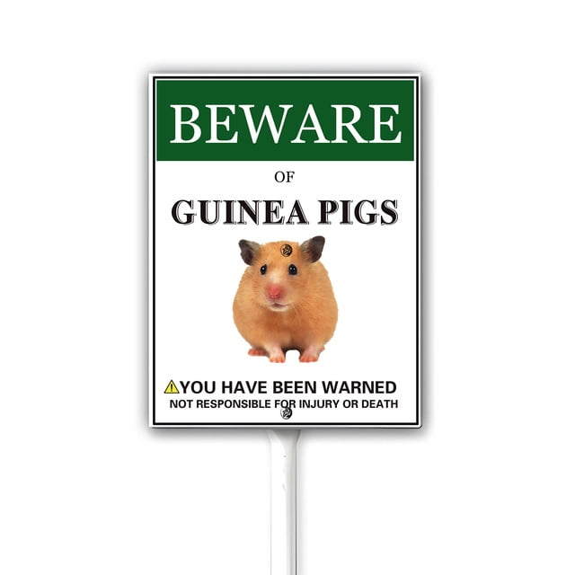 Beware of Guinea Pigs Warning Sign for Yard Lawn Garden Home Outdoor ...