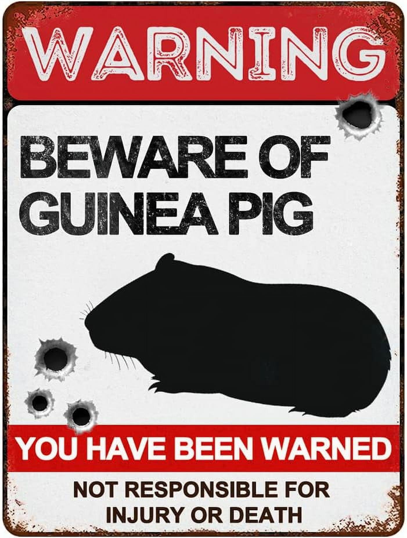 Beware of Rooster Signs 12"x16", Vintage Metal Warning Signs About ...