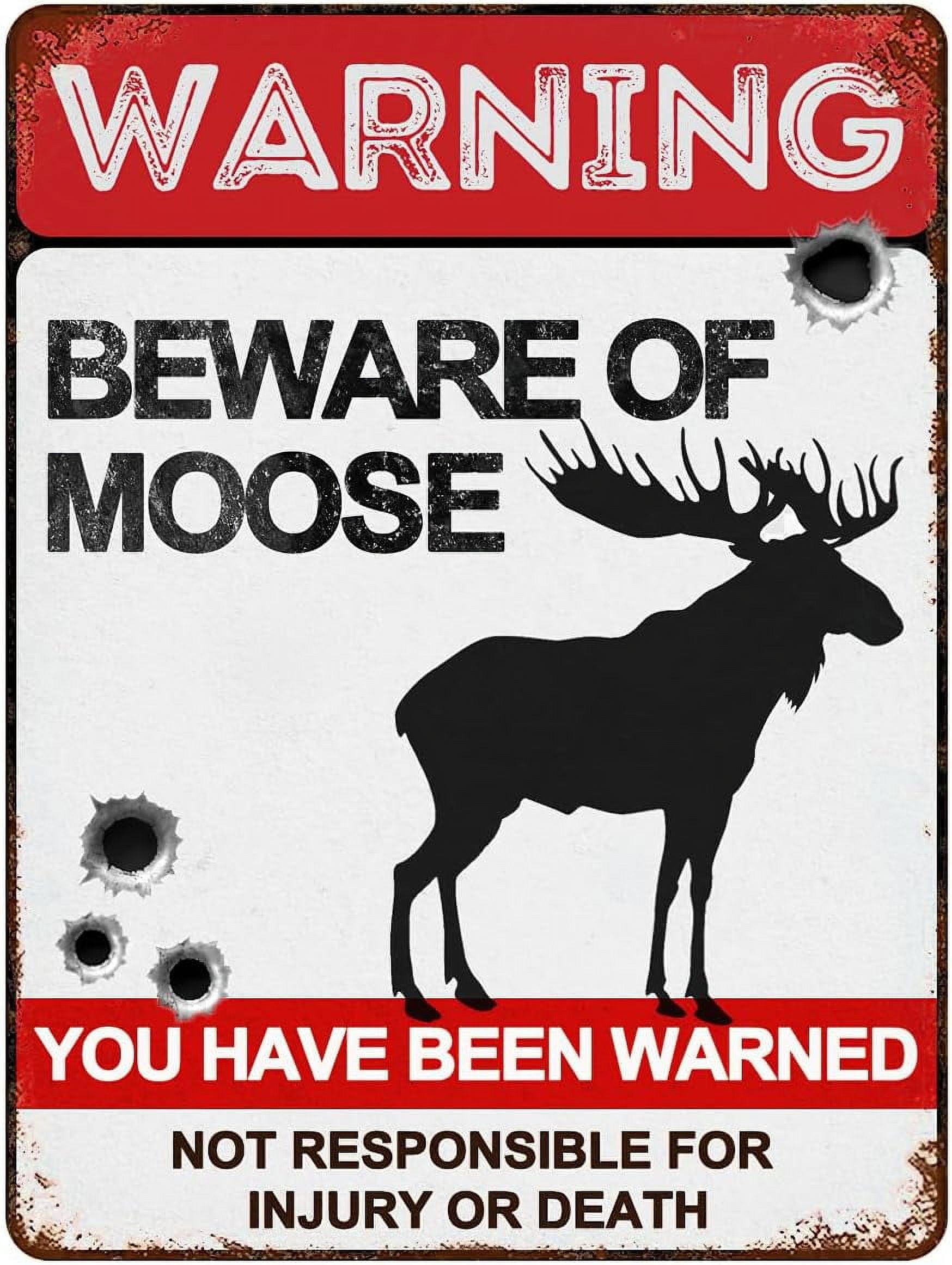 Beware of Rooster Signs 12"x16", Vintage Metal Warning Signs About ...