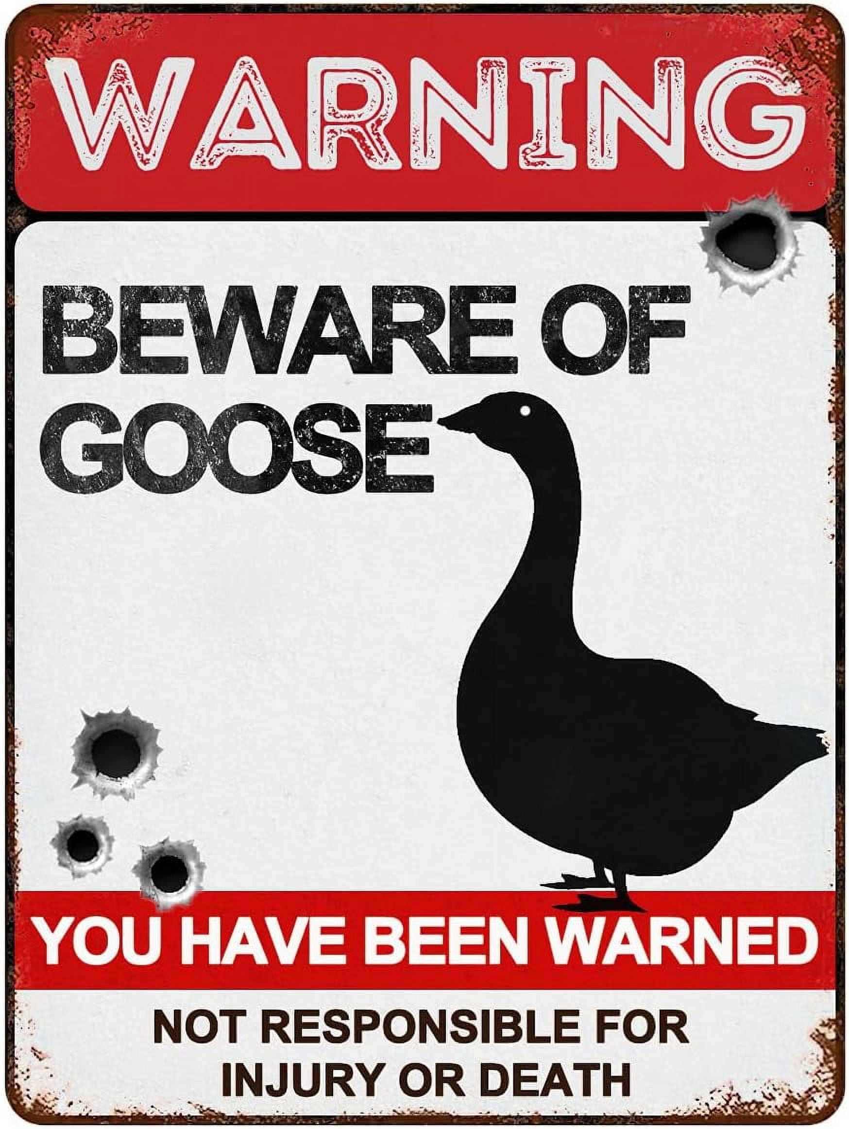 Beware of Rooster Signs 12"x16", Vintage Metal Warning Signs About ...