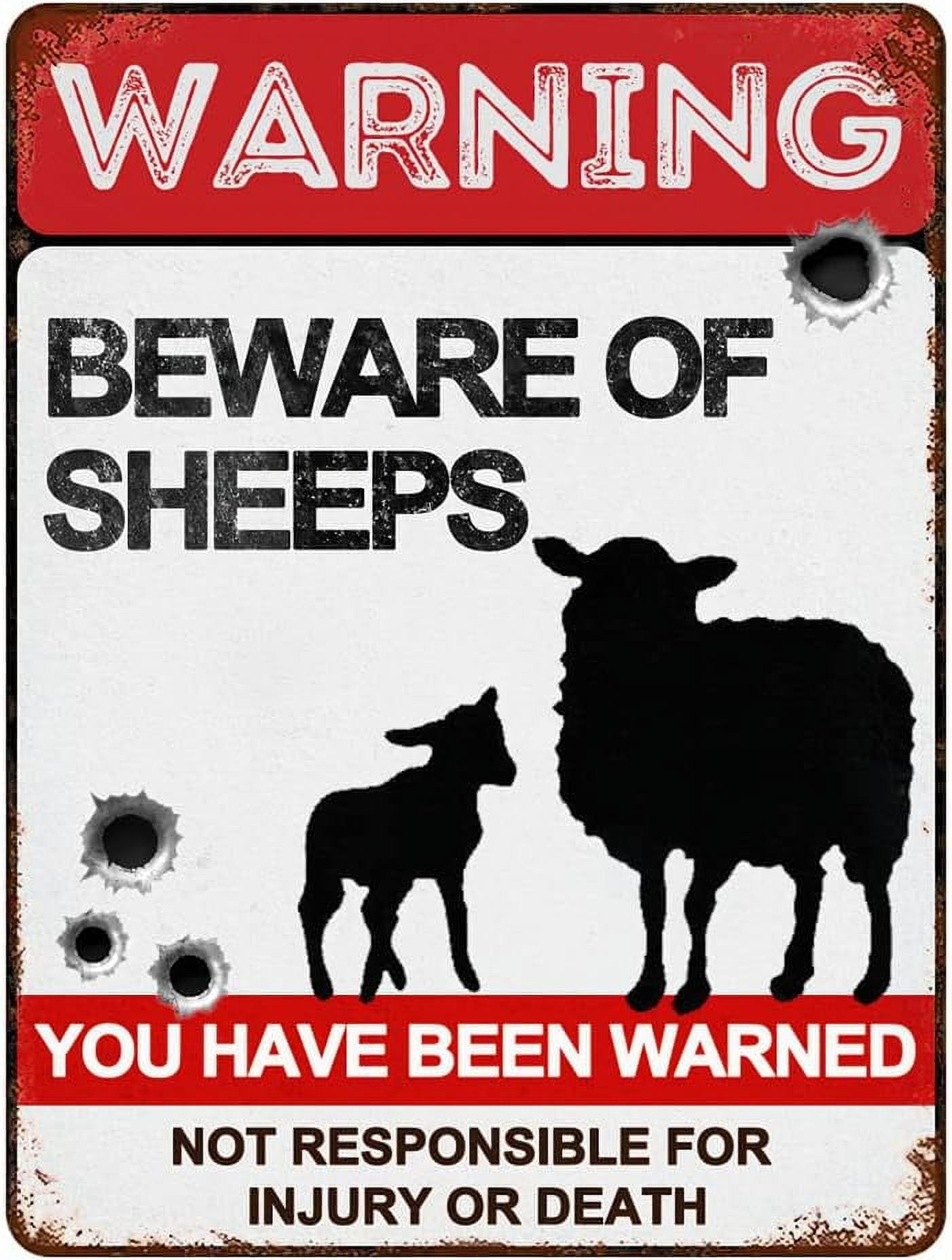 Beware of Rooster Signs 12"x16", Vintage Metal Warning Signs About ...