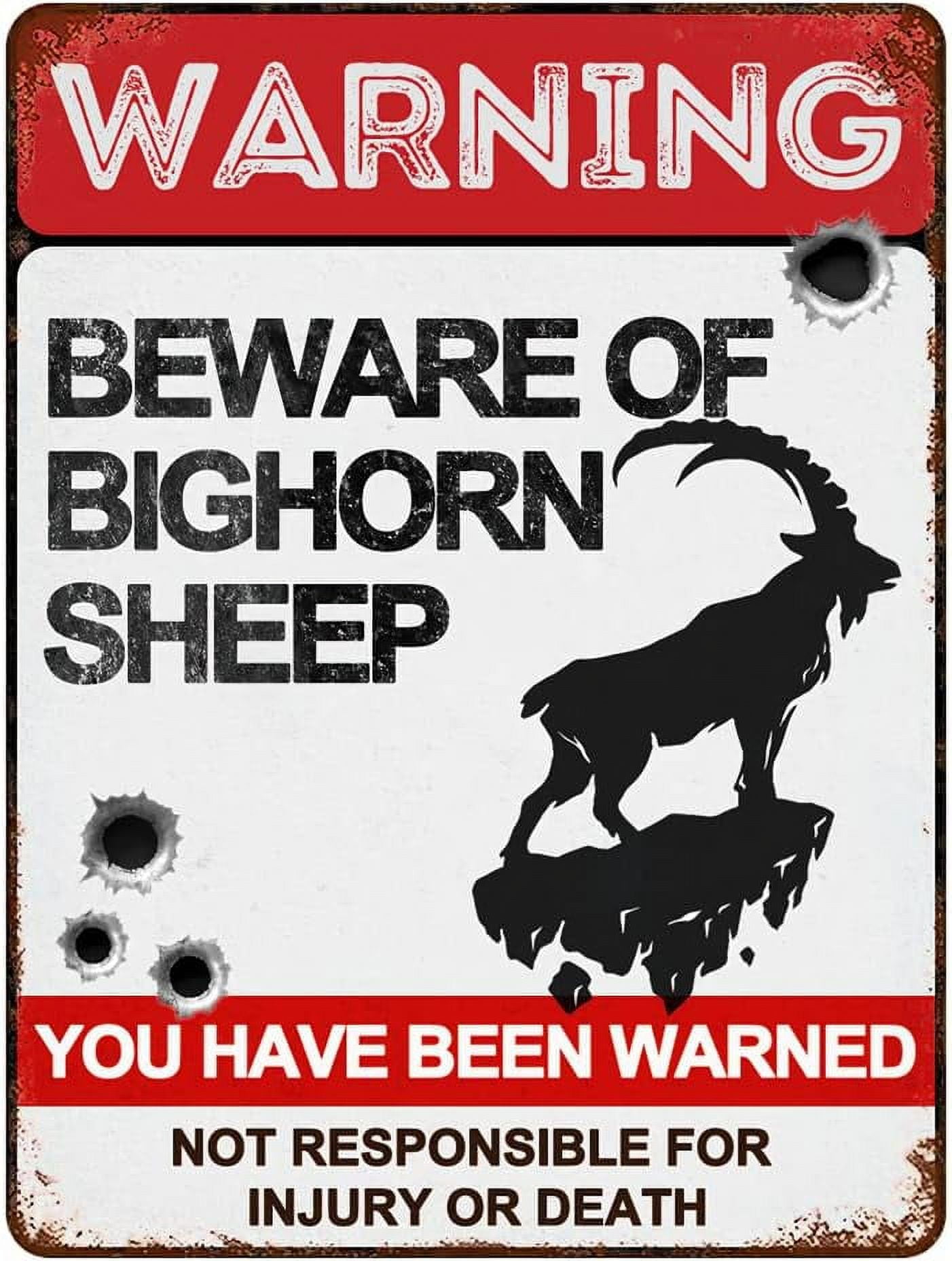 Beware of Rooster Signs 12"x16", Vintage Metal Warning Signs About ...