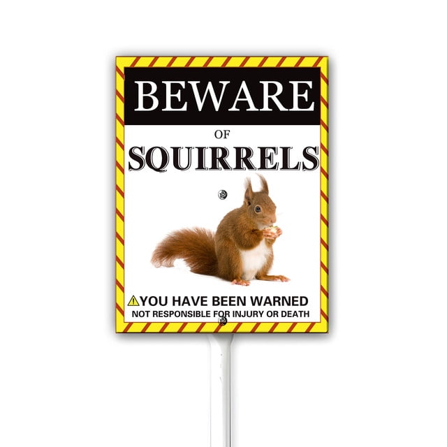 Beware of Squirrels Animals Warning Sign for Garden Lawn Decor Funny ...