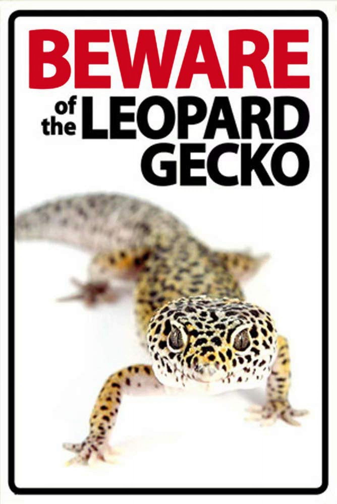 Beware of The Leopard Gecko Metal Wall Post Plaque Decoration Vintage ...