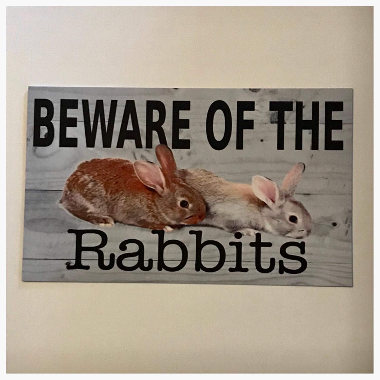 Beware of The Rabbits Sign Available As A Plaque Or Hanging Farm ...