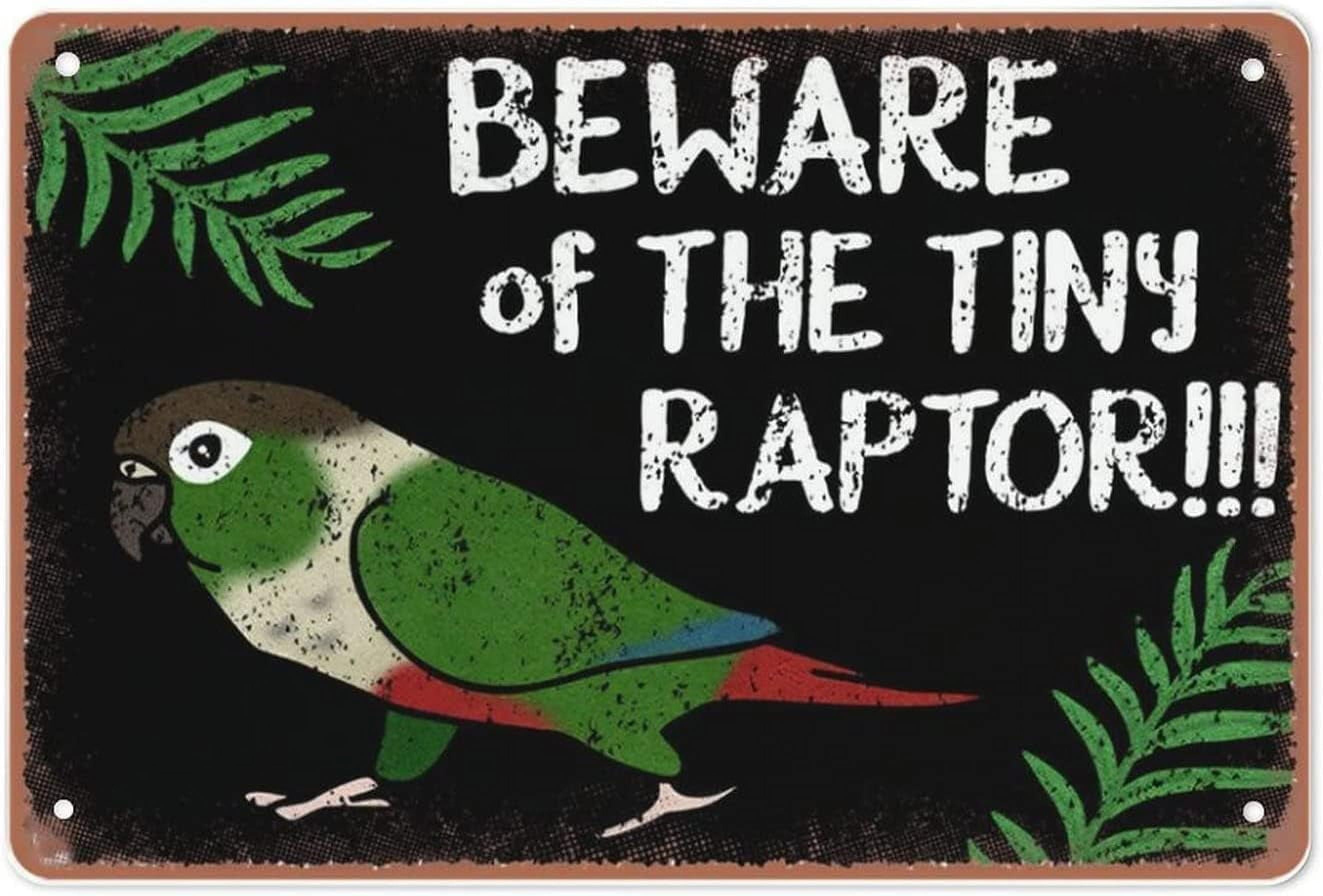 Beware of The Tiny Raptor Green Cheeked Conure Metal Tin Sign Poster ...