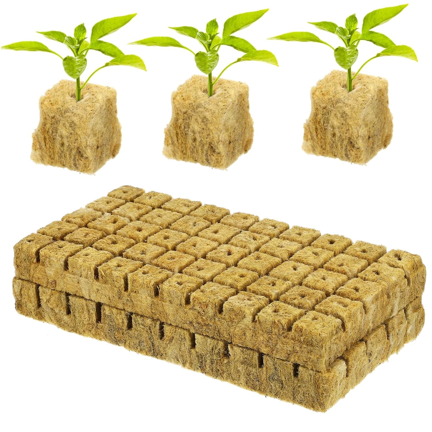 Bexikou 1.57" Rockwool Cubes for Hydroponics,Rockwool Starter Plugs for ...