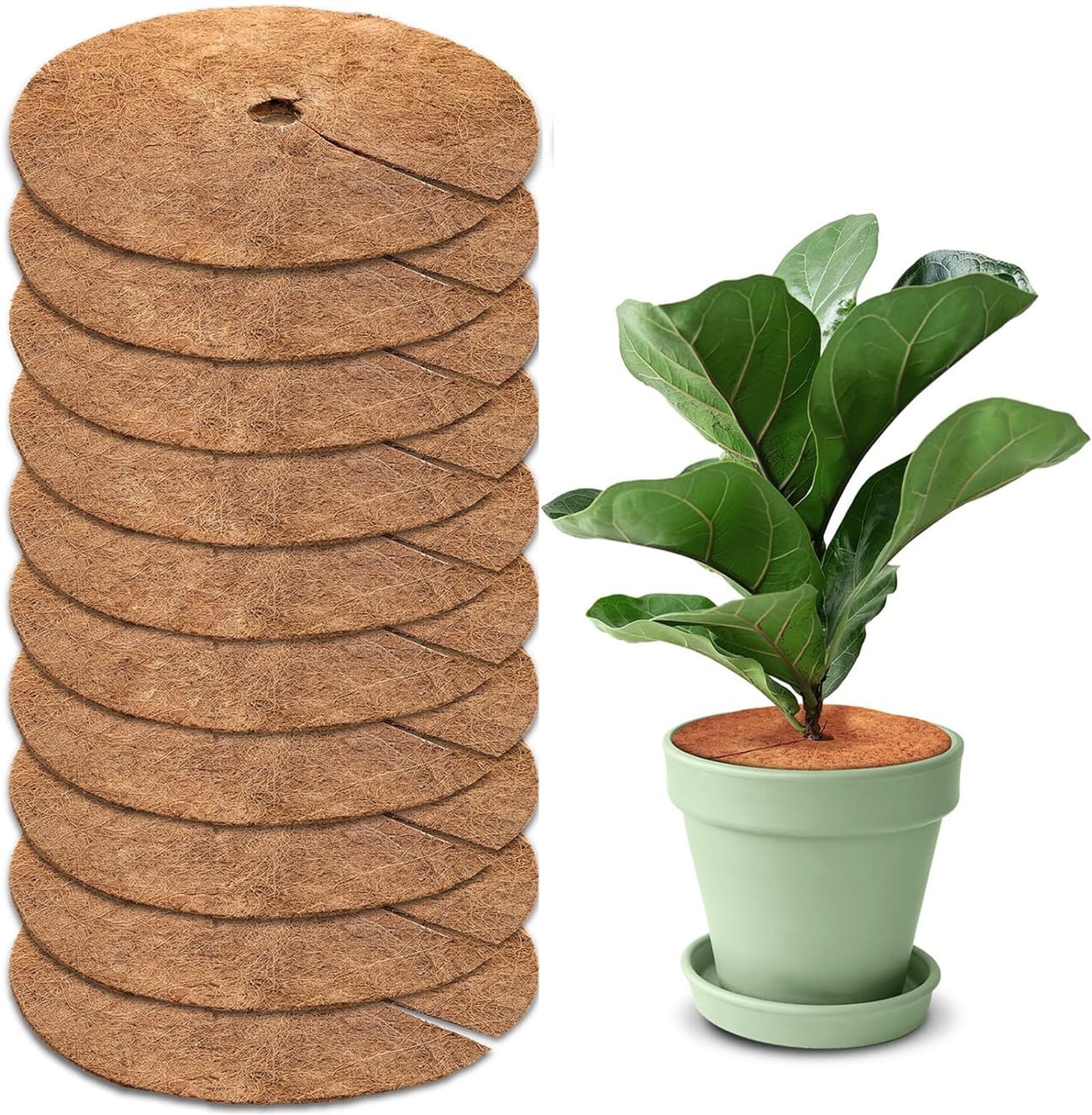 Bexikou 10 Pcs Tree Protector Mat,Coconut Fibers Mulch Ring,Plant ...