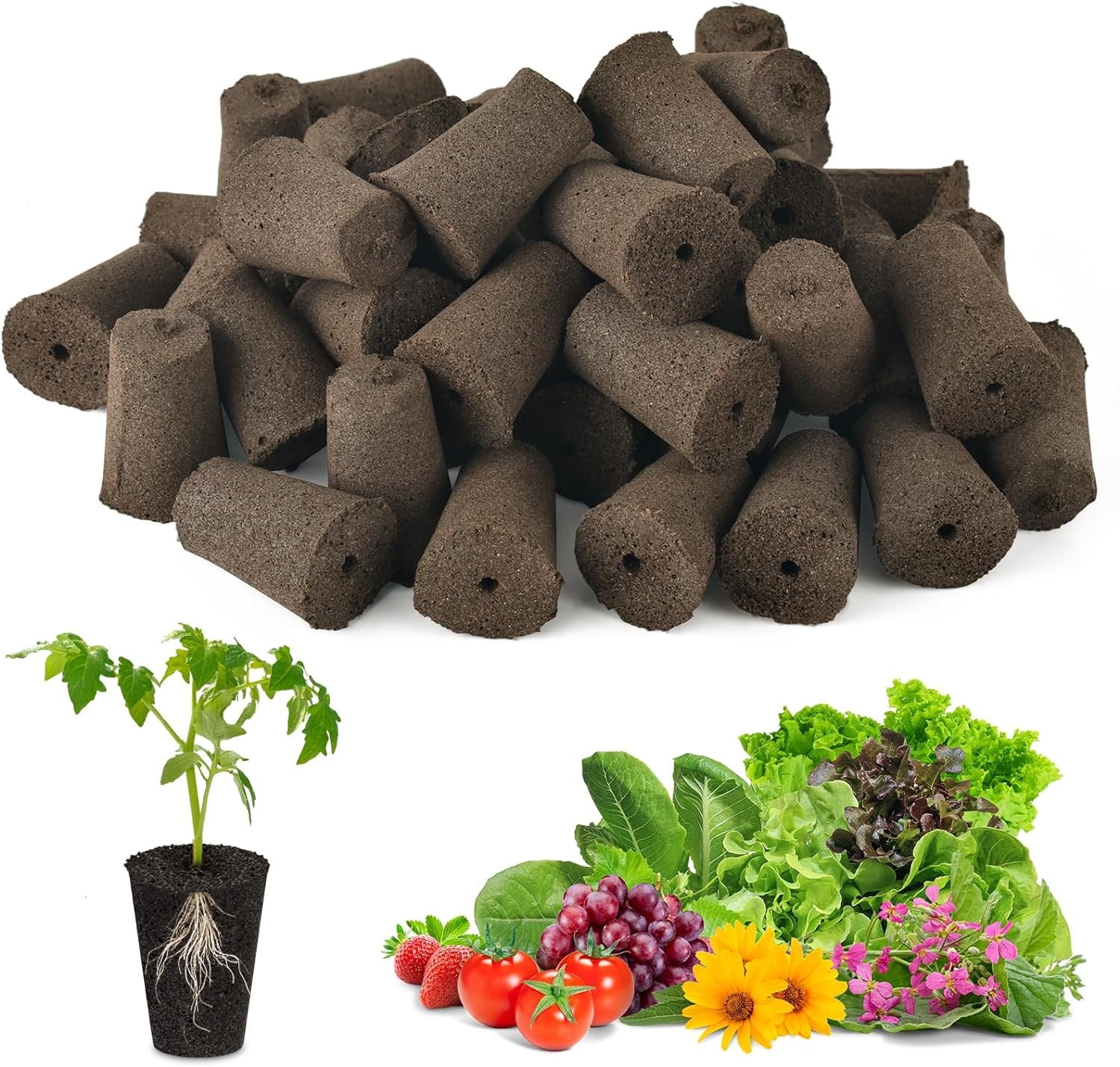 Bexikou 30 Pack Grow Sponges,Replacement Root Growth Sponges Seed Pods ...