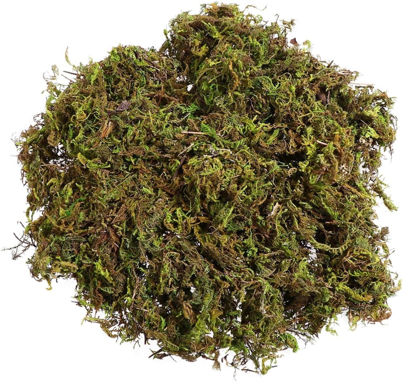 Bexikou 300g Fake Moss for Potted Plants,Green Plants Faux Moss ...