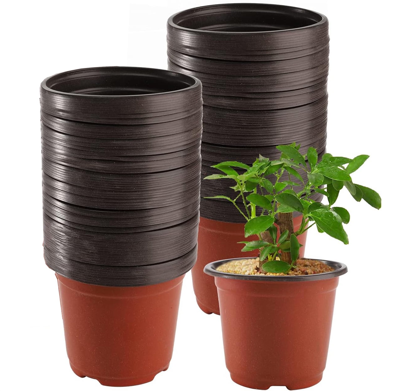 Bexikou 50 Packs 5 Inch Plant Nursery Pots,Plant Flower Pots, Seed ...