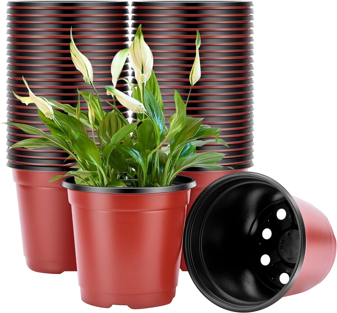 Bexikou 6in Planter Nursery Pots,Seed Starting Pots,Plastic Plant Pot ...