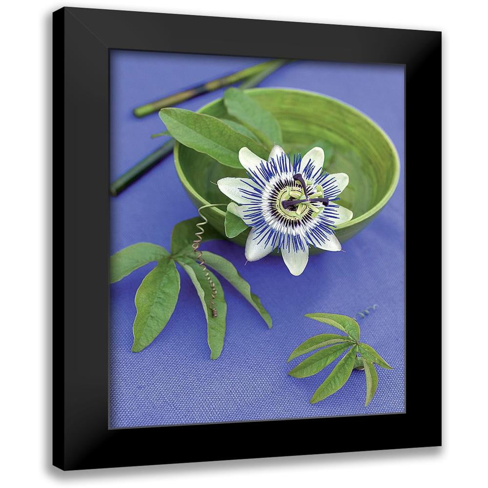 Beyler, Catherine 12x14 Black Modern Framed Museum Art Print Titled ...