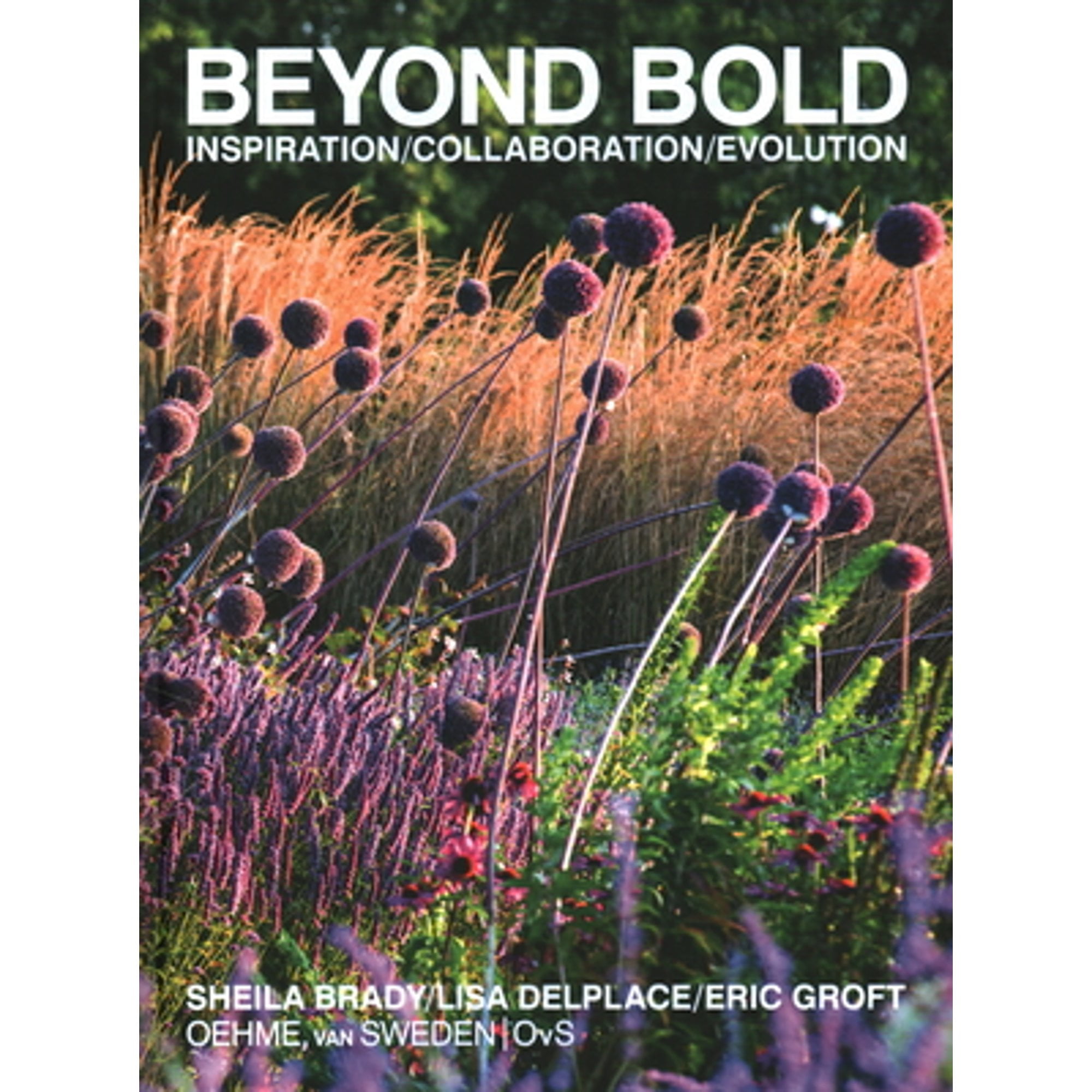 Pre-Owned Beyond Bold: Inspiration, Collaboration, Evolution (Hardcover ...