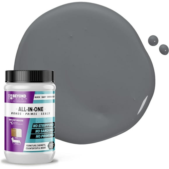 Beyond Paint in Featured Paint Brands - Walmart.com