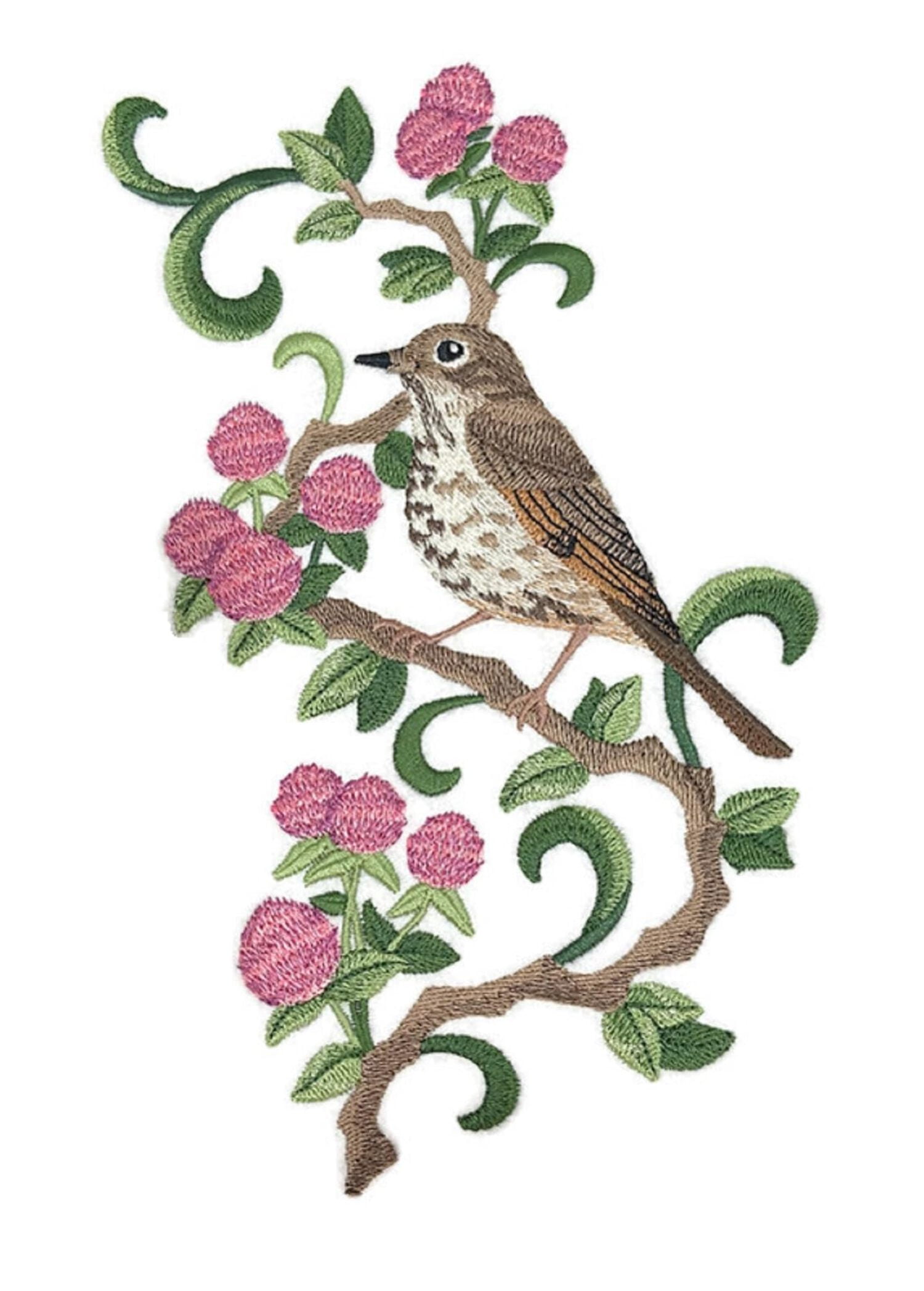 Beyond Vision Custom BirdVermont Hermit Thrush and Red Clover Medley ...
