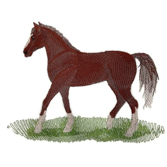 Beyond Vision Custom Horse [ Morgan Horse ] Embroidered Iron on/Sew ...