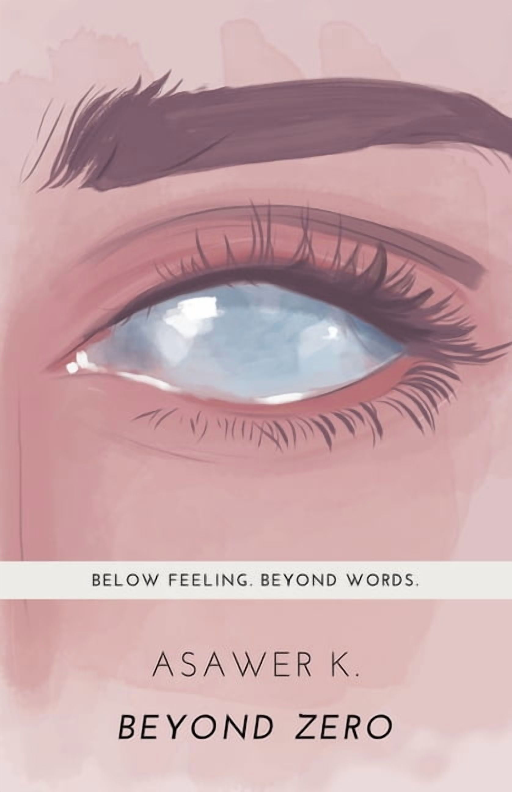 Beyond Zero, (Paperback) - Walmart.com