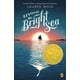 Beyond the Bright Sea (Paperback) - Walmart.com