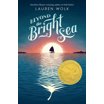 Beyond the Bright Sea (Paperback) - Walmart.com