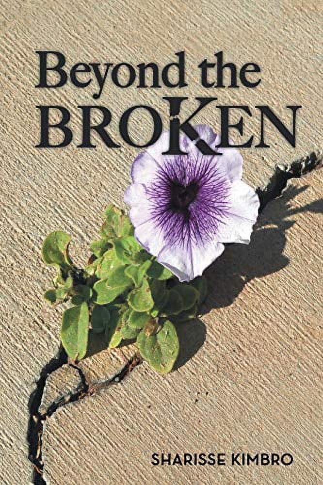Pre-Owned Beyond the Broken Paperback - Walmart.com