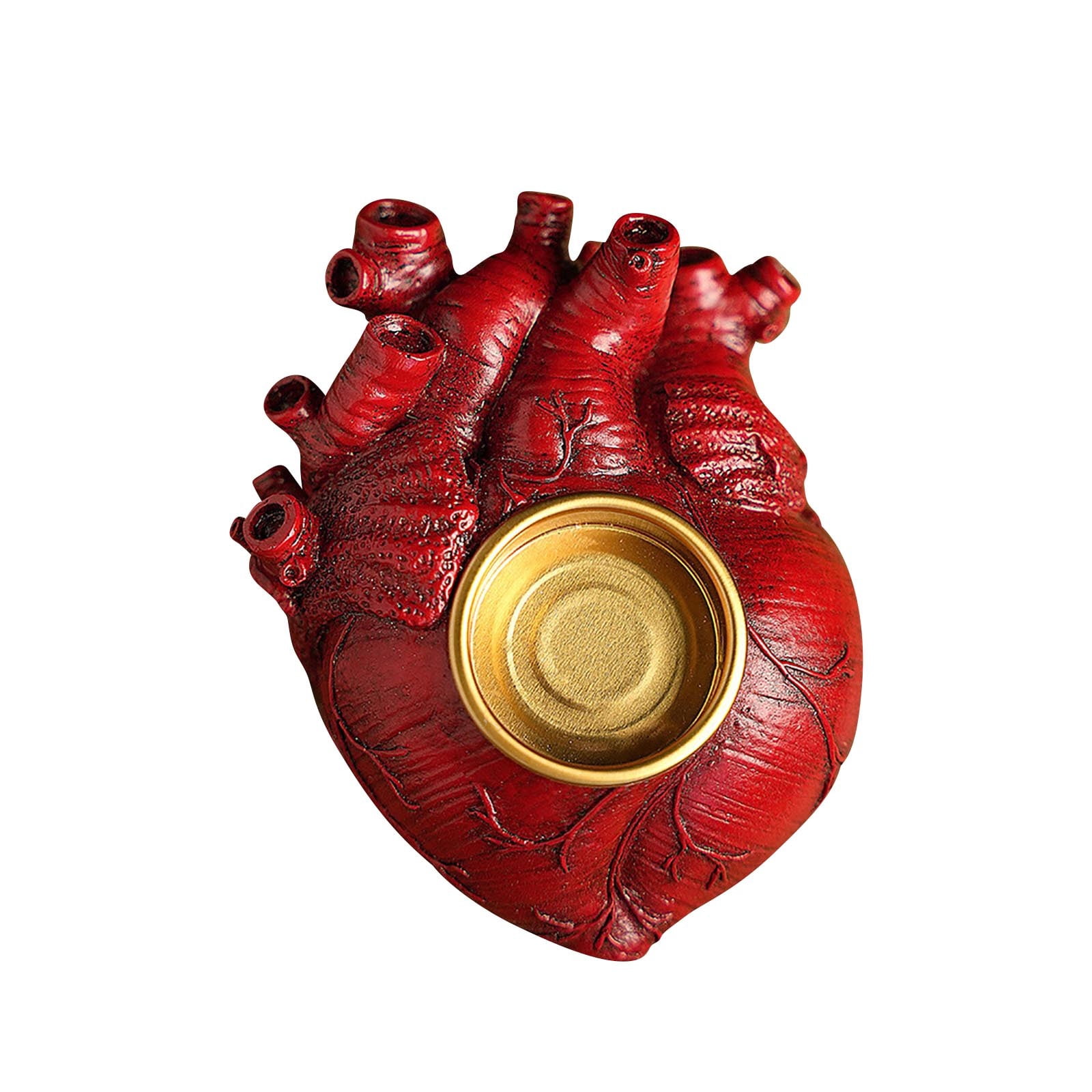 Bfogop Human Organ Models Candle Holder, Retro 3D Heart Spine Brain ...