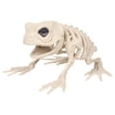 Outdoor Skeleton Turtle Animal Decor for Halloween, Approx. 2x4.5x7.75 ...