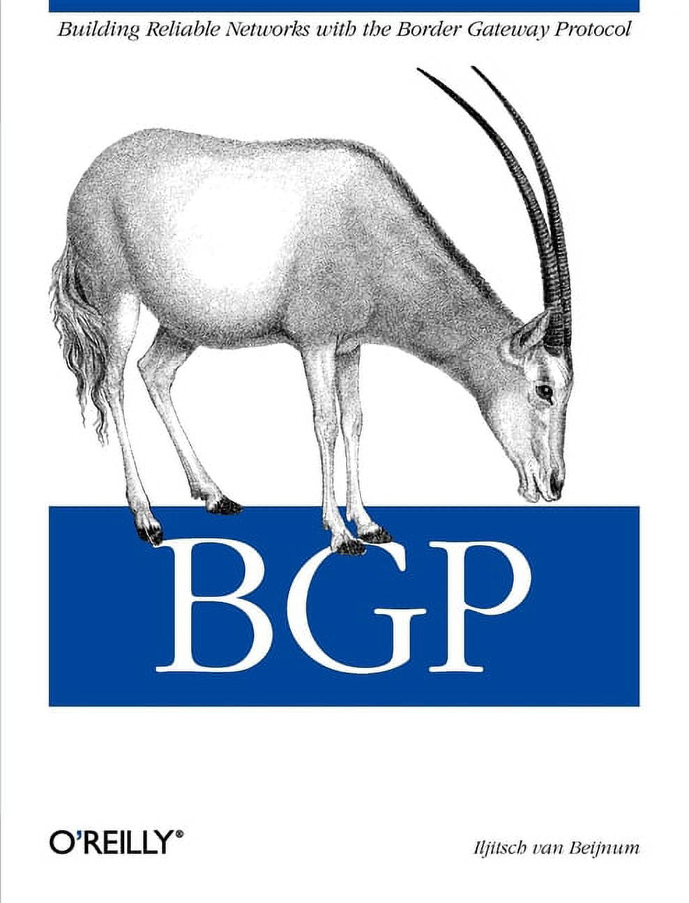 Bgp: Building Reliable Networks with the Border Gateway Protocol ...