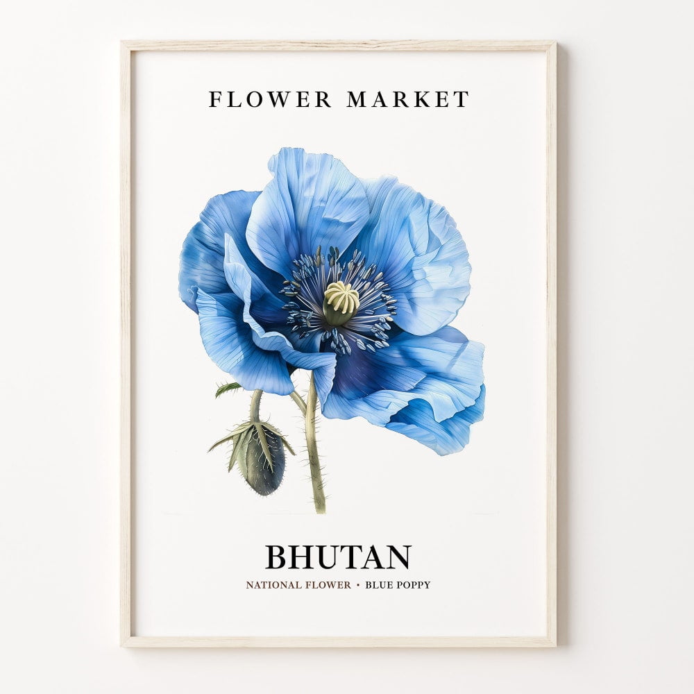 Bhutan National Flower Art Print, Blue Poppy 1960S Wall Art, Neutral ...