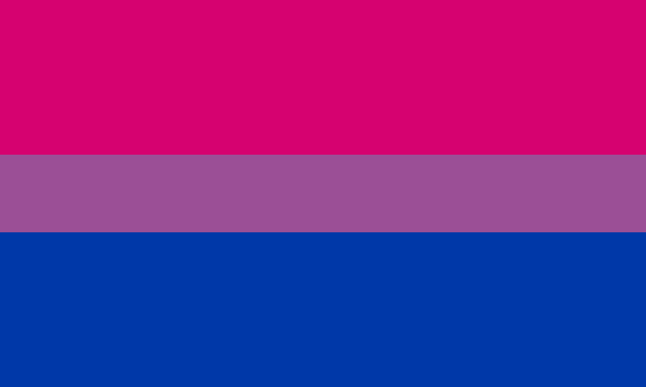 3x5' Bi Pride Flag, Bisexual Banner, LGBT Rainbow Festival Pennant ...