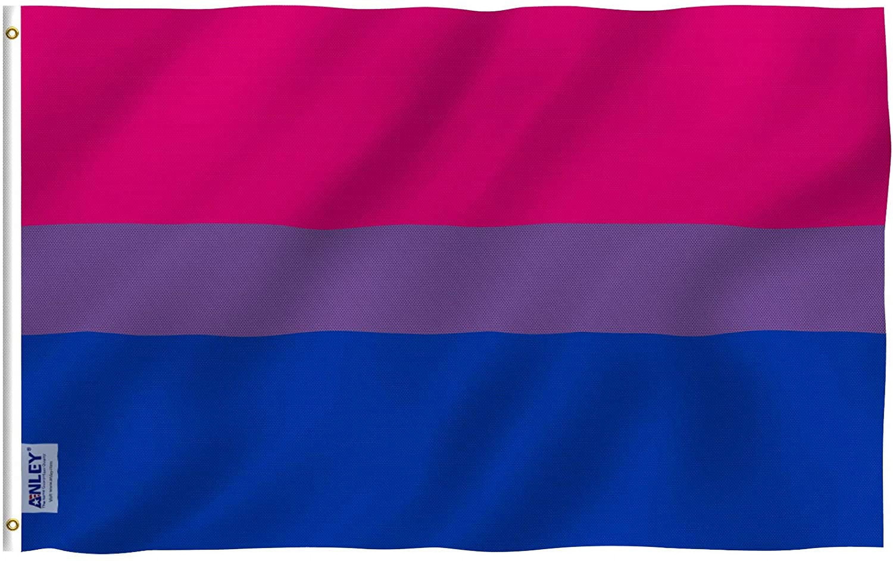 Bi Pride Flag - Vivid Color and Fade proof - Bisexual Flags with Brass ...