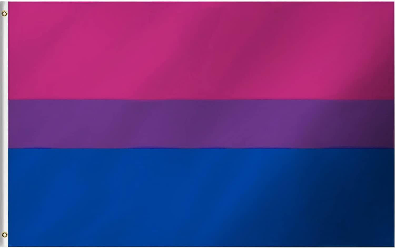 Bi Pride Polyester Flag Bisexual Flags Bright Color with Brass Eyelets ...