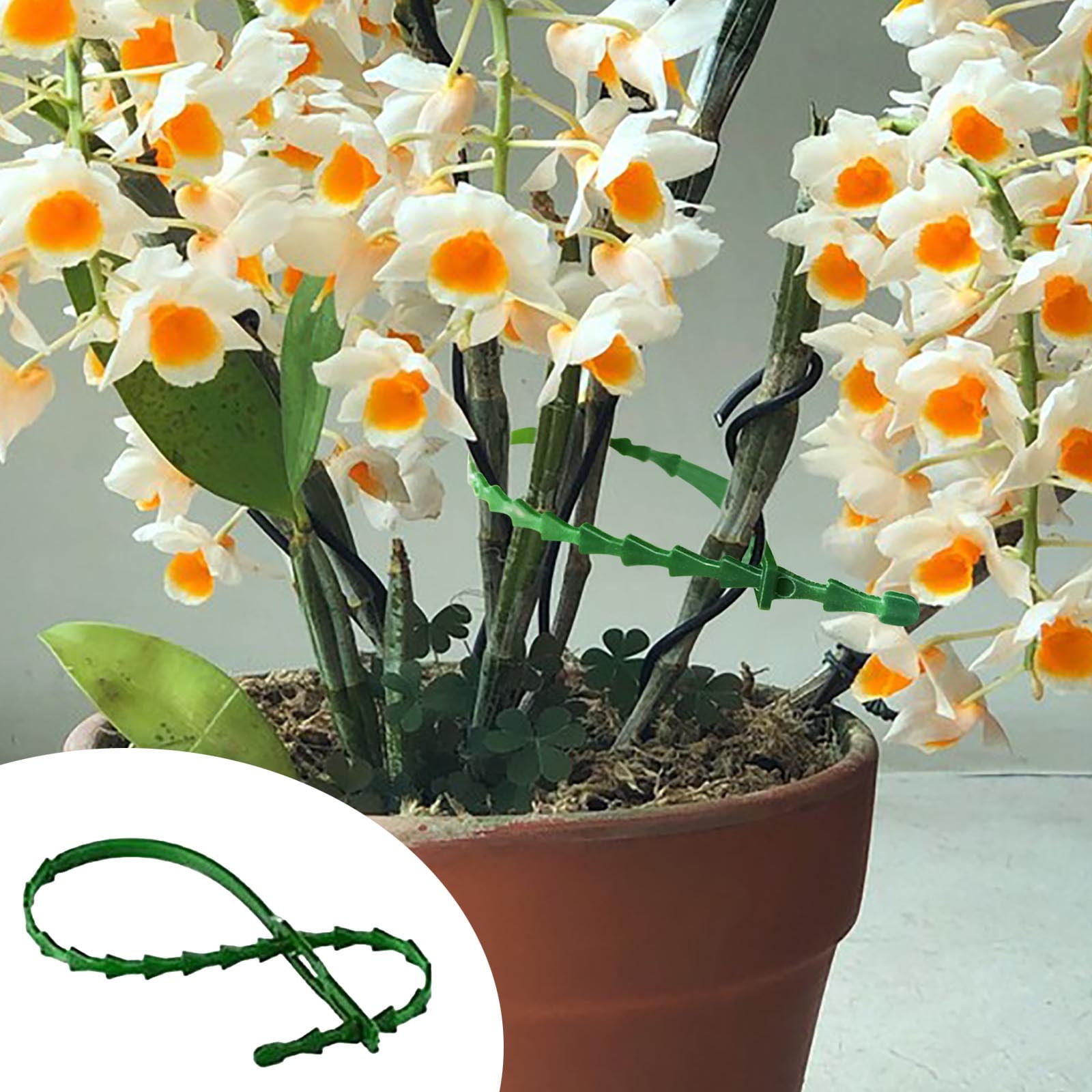 BiFandian 100Pcs Adjustable Plant Ties, Flexible Plant Cable Ties ...