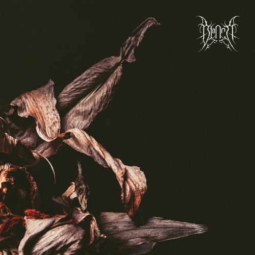 Bianca - Bianca - Music & Performance - Vinyl - Walmart.com