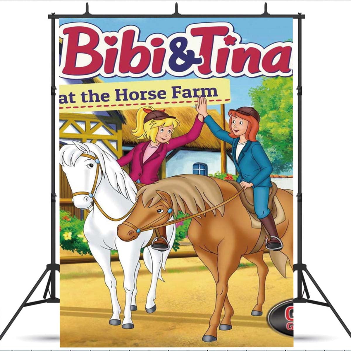 Bibi and Tina school Poster Wall Decor Birthday Banner Backdrop ...
