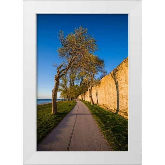 Bibikow, Walter 13x18 White Modern Wood Framed Museum Art Print Titled ...