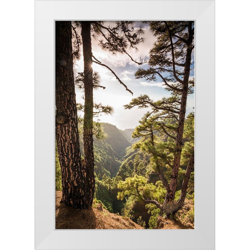 Bibikow, Walter 17x24 White Modern Wood Framed Museum Art Print Titled ...