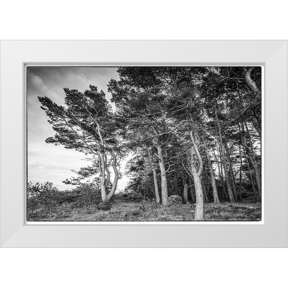 Bibikow, Walter 18x13 White Modern Wood Framed Museum Art Print Titled ...