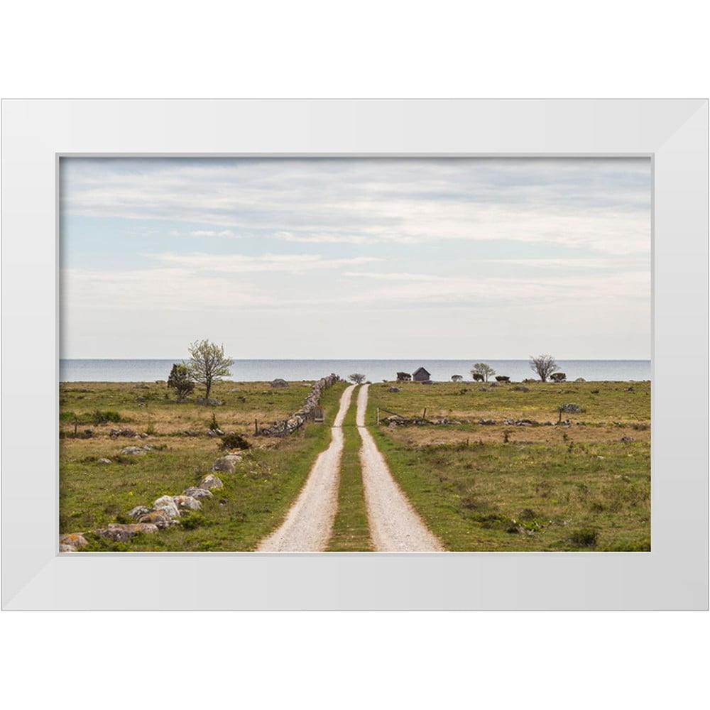 Bibikow, Walter 18x13 White Modern Wood Framed Museum Art Print Titled ...