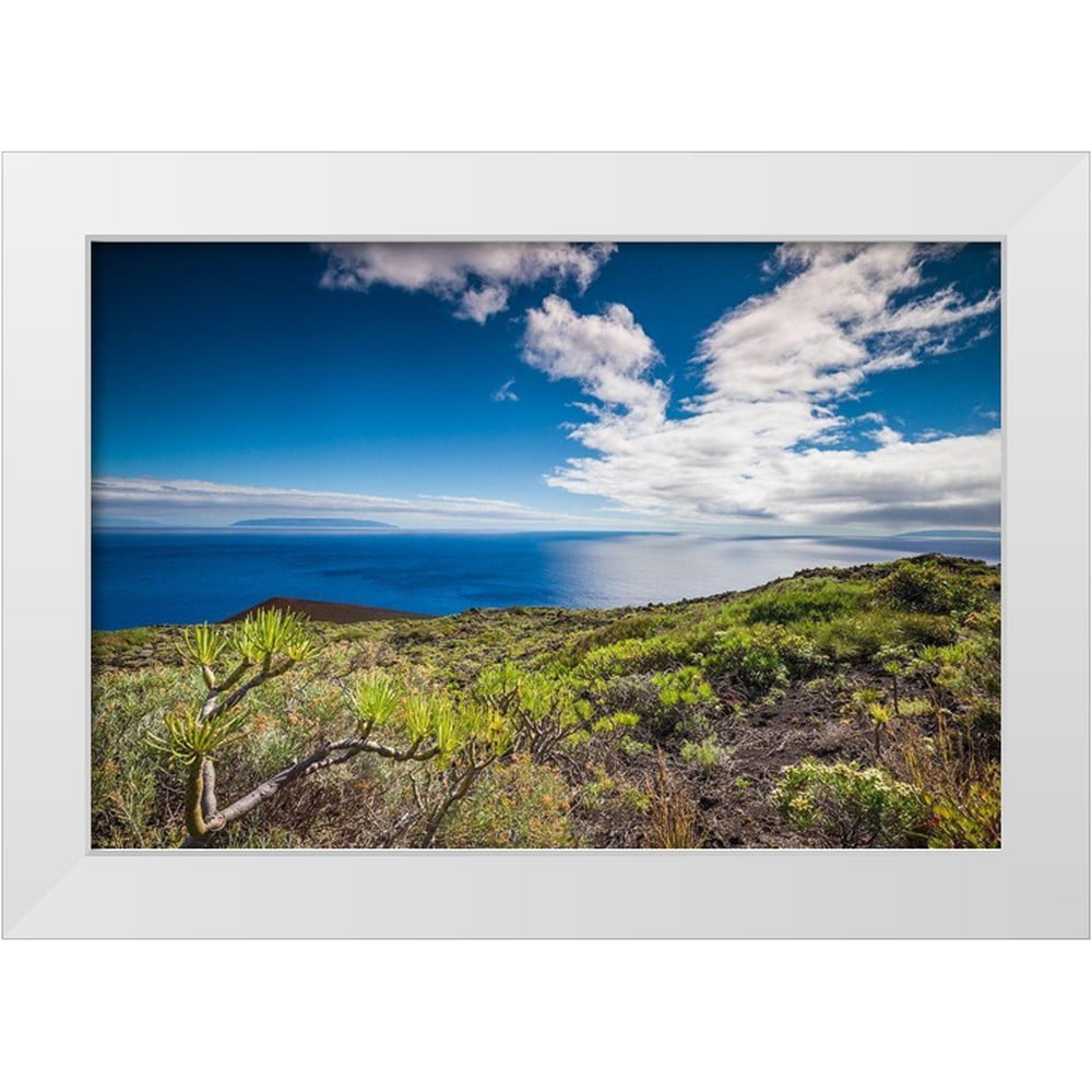 Bibikow, Walter 32x23 White Modern Wood Framed Museum Art Print Titled ...