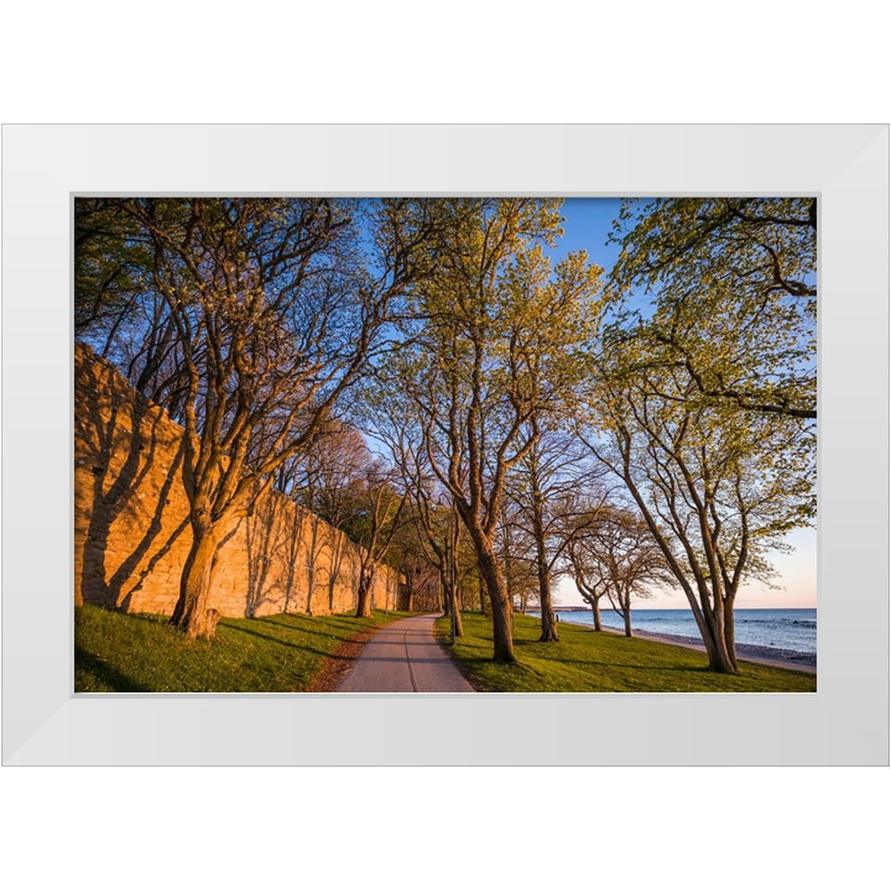 Bibikow, Walter 32x23 White Modern Wood Framed Museum Art Print Titled ...