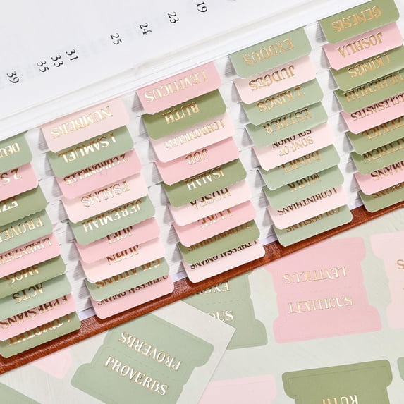 Bible Tabs, 66 Gold Foil Pre-Printed Chapter Labels + 39 Blank Water ...