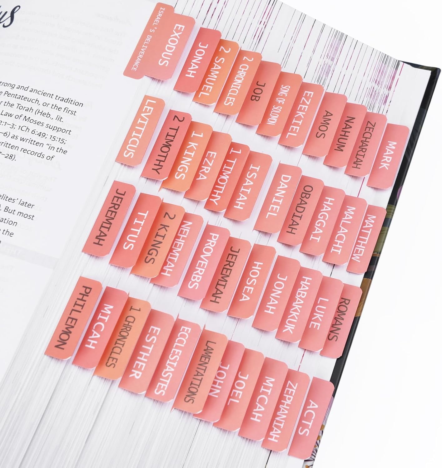 Bible Tabs, 72 Bible Tabs for Women Study Bible, Laminated Bible Index ...