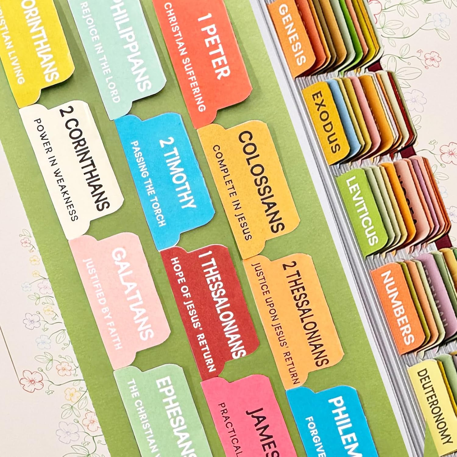 Bible Tabs with Delicate Cover, 75 Tabs with Chapter Titles and ...